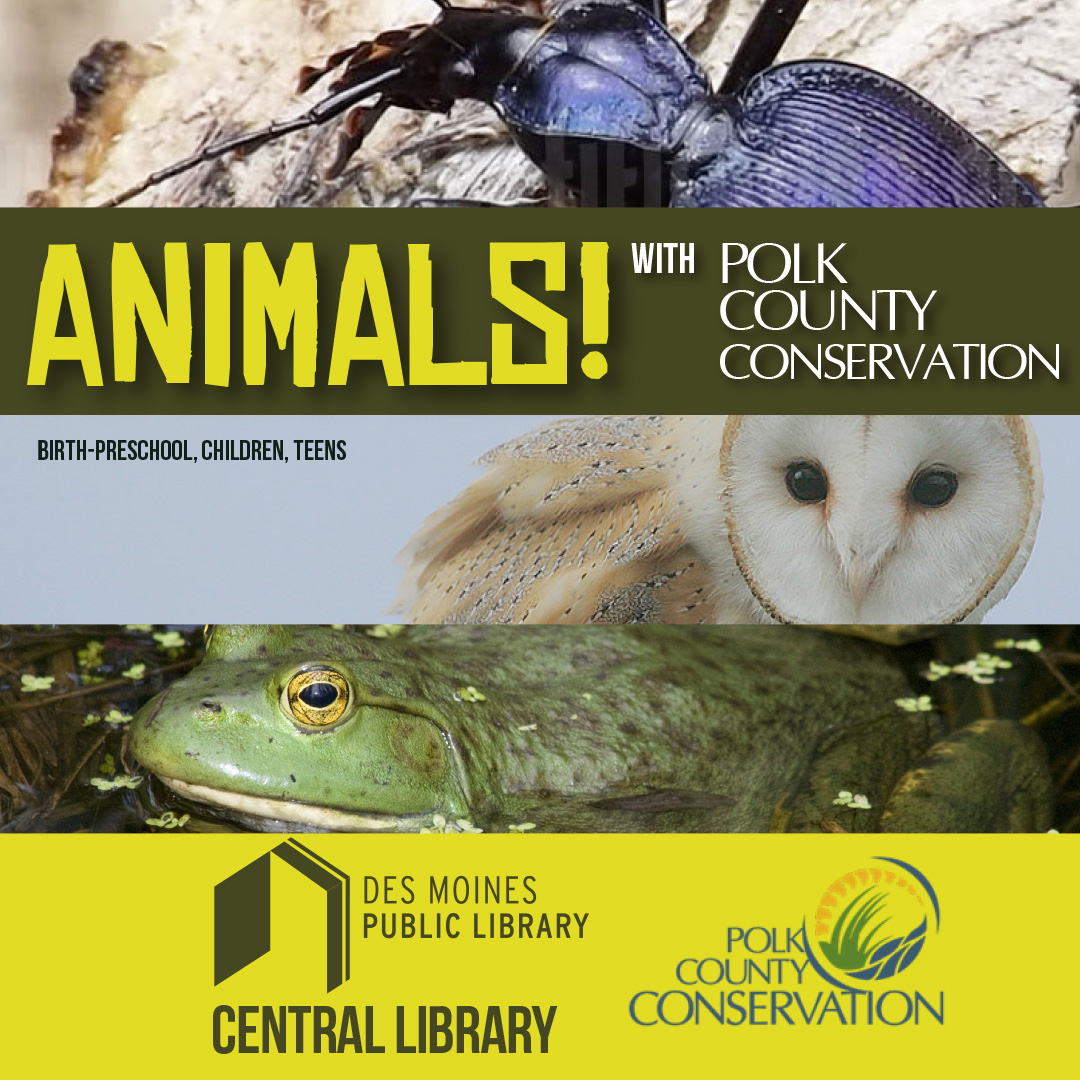Amphibians! With Polk County Conservation | Des Moines Public Library